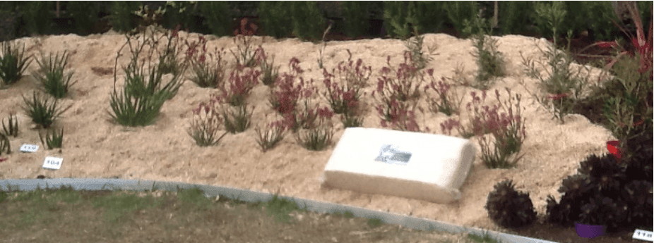 Mini-Hemp As Garden Mulch – Ozhemp